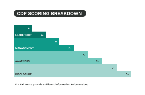 CDP Score: Functioning and Essential Criteria